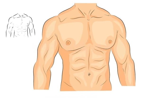 Chest Press Dumbbells Benefits : A Complete Guide - Fitness Gear Scan